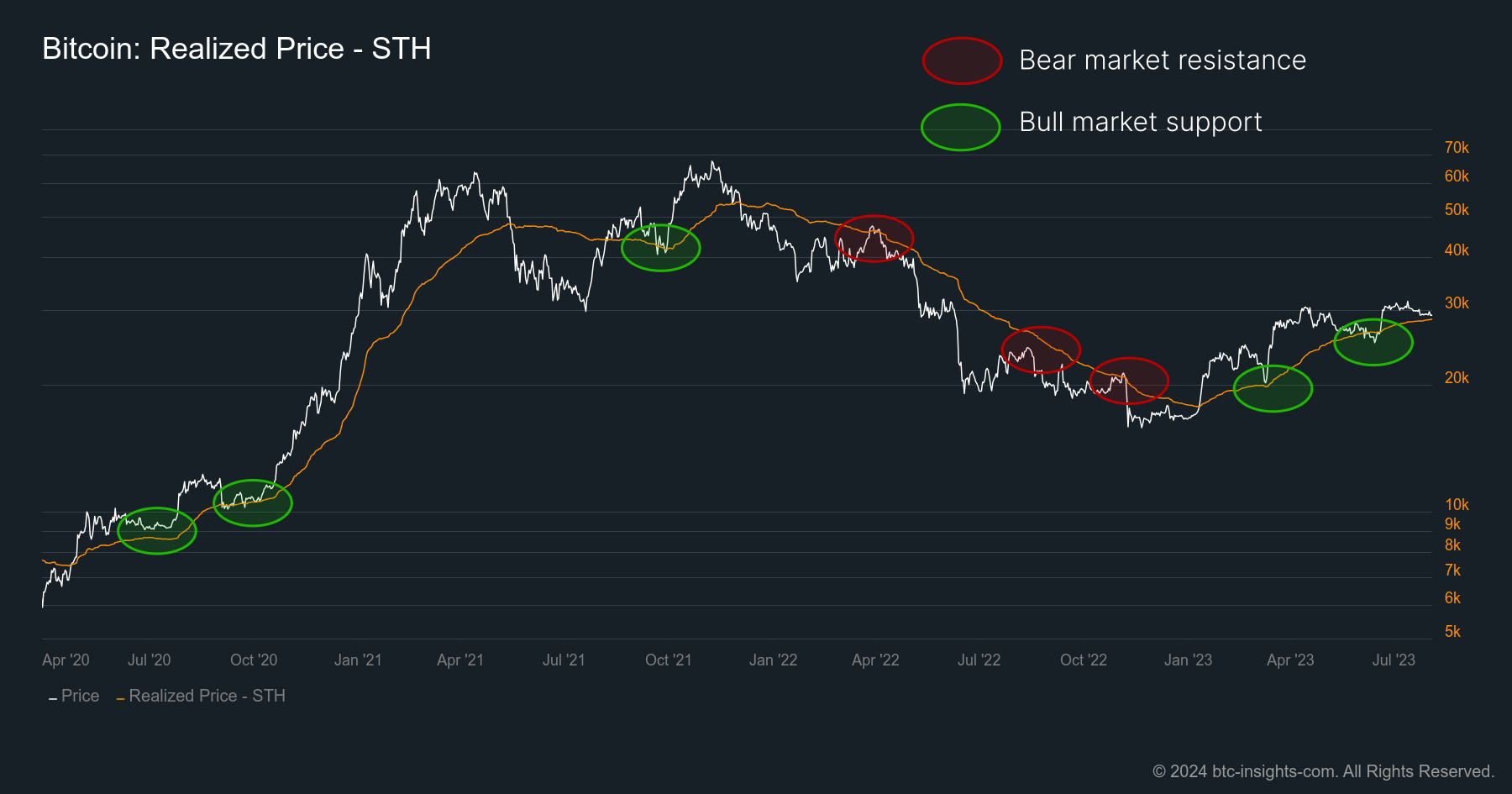Bitcoin Long-Term Holders vs. Short-Term Holders: Key Differences Explained | btc insights
